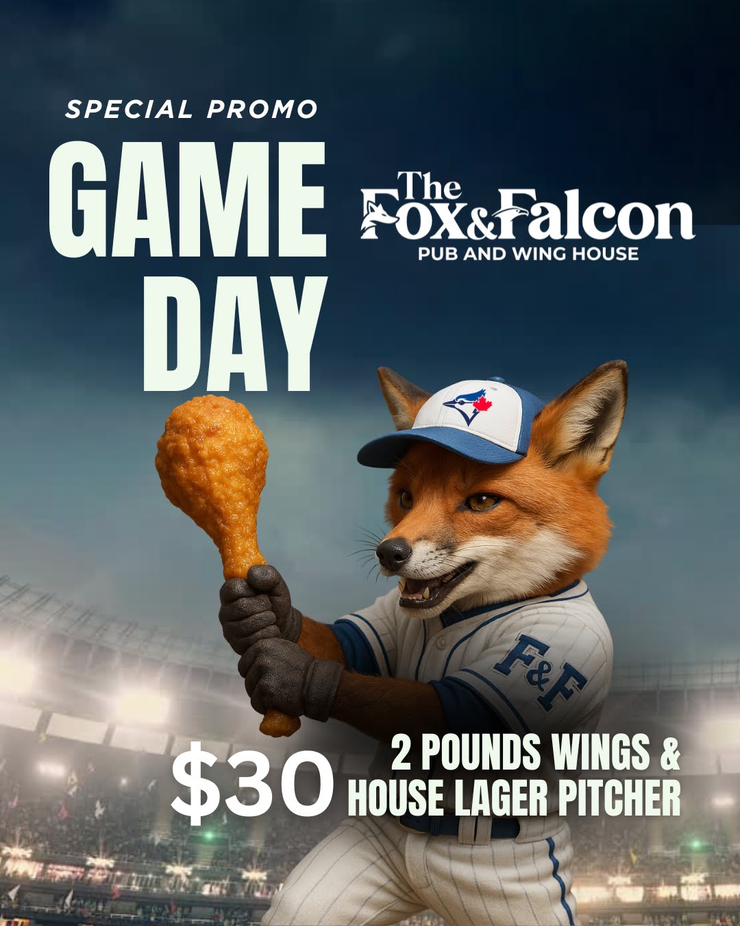 The Fox & Falcon Pub